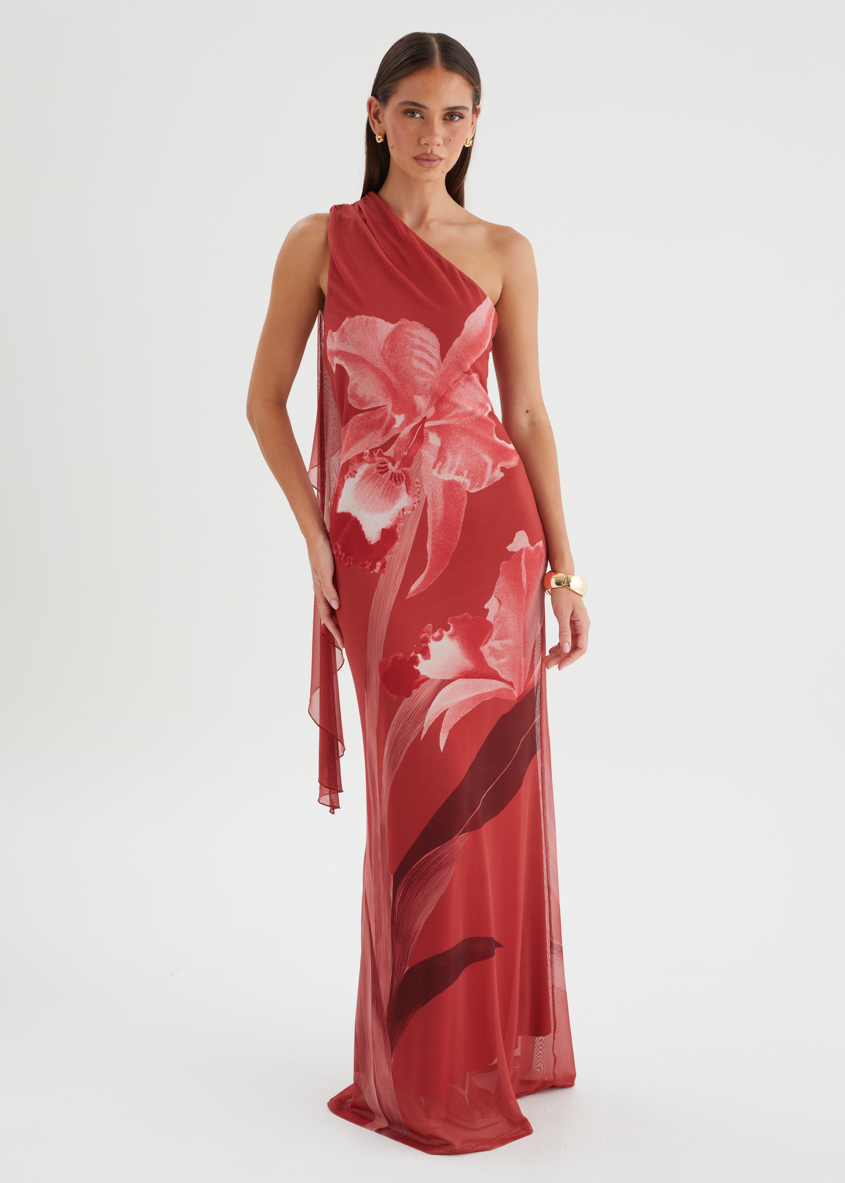 Anjy One Shoulder Mesh Maxi Dress - Strawberry Bloom – Gingham & Heels